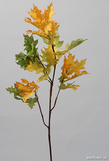 Ek Kvist 110 cm - Webflower