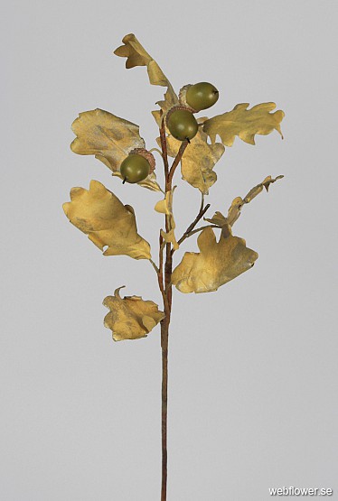 Ek Kvist 43 cm - Webflower