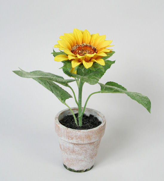 SOLROS | SOLROS I KRUKA 20 CM - Webflower
