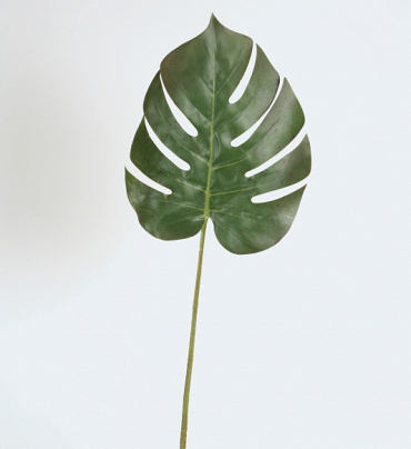 Monstera blad 99 cm - Webflower