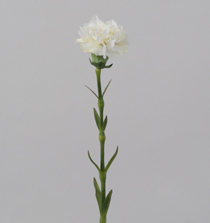Nejlika | Vit 55 cm - Webflower