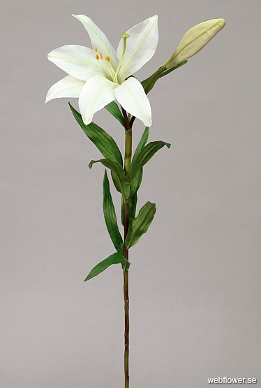Lilja | vit 85 cm - Webflower